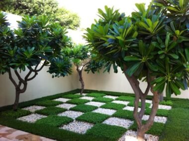 Jasmim-Manga: Como cultivar, 8 Ideias para Jardim e Tipos